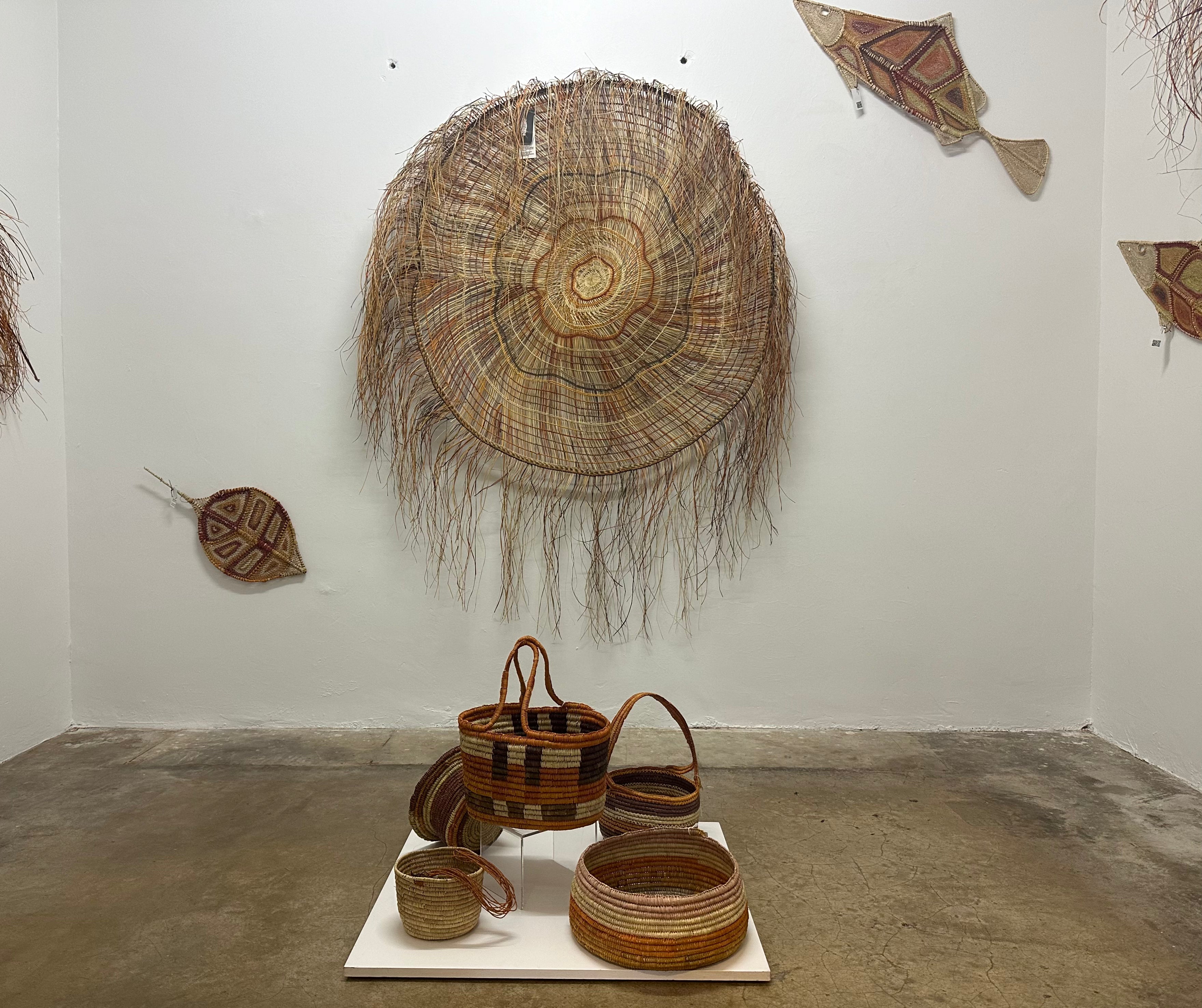 Journey Through Arnhem Land – Aboriginal Art Co.